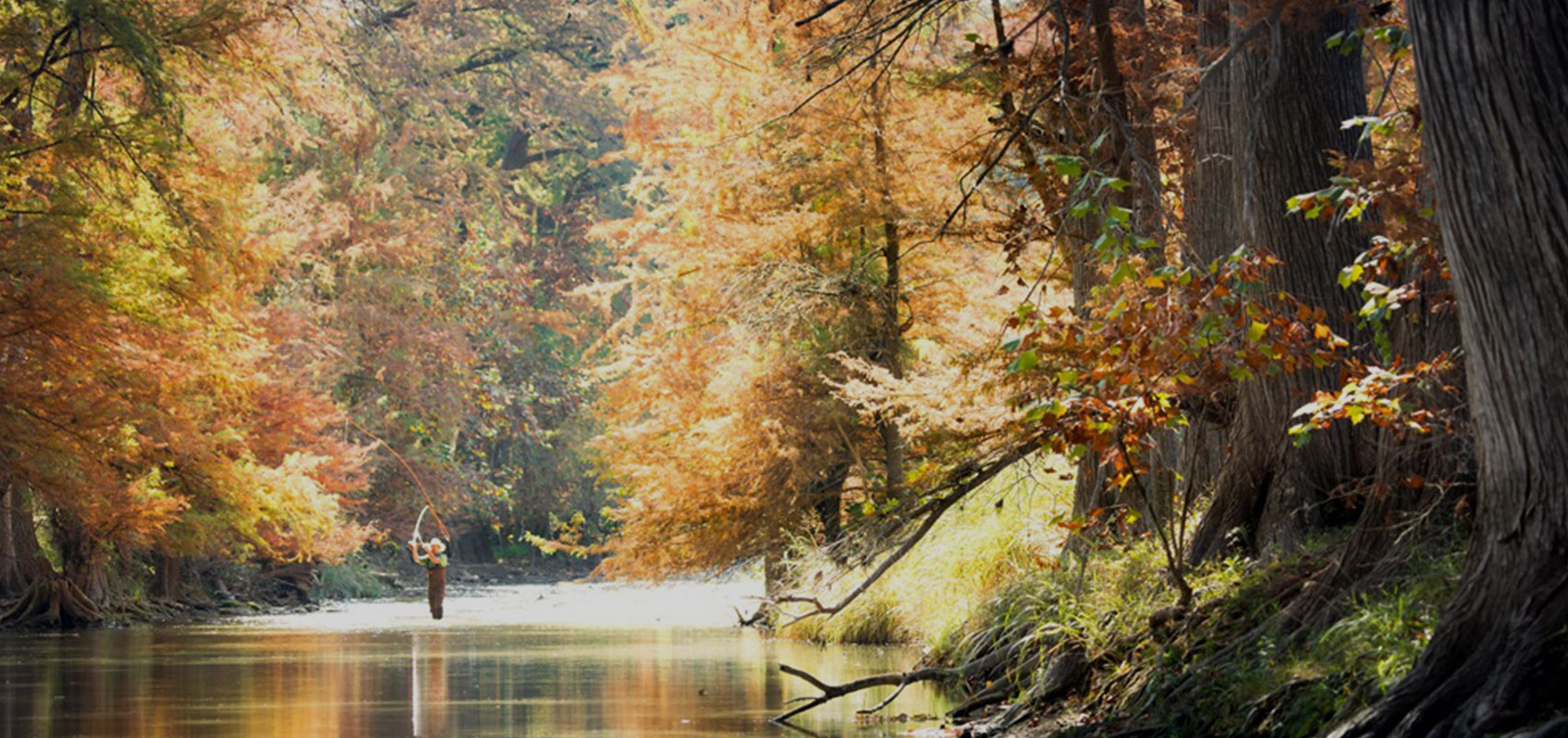 Texas Hill Country RV Park | Skyline Ranch RV Park and Cabins