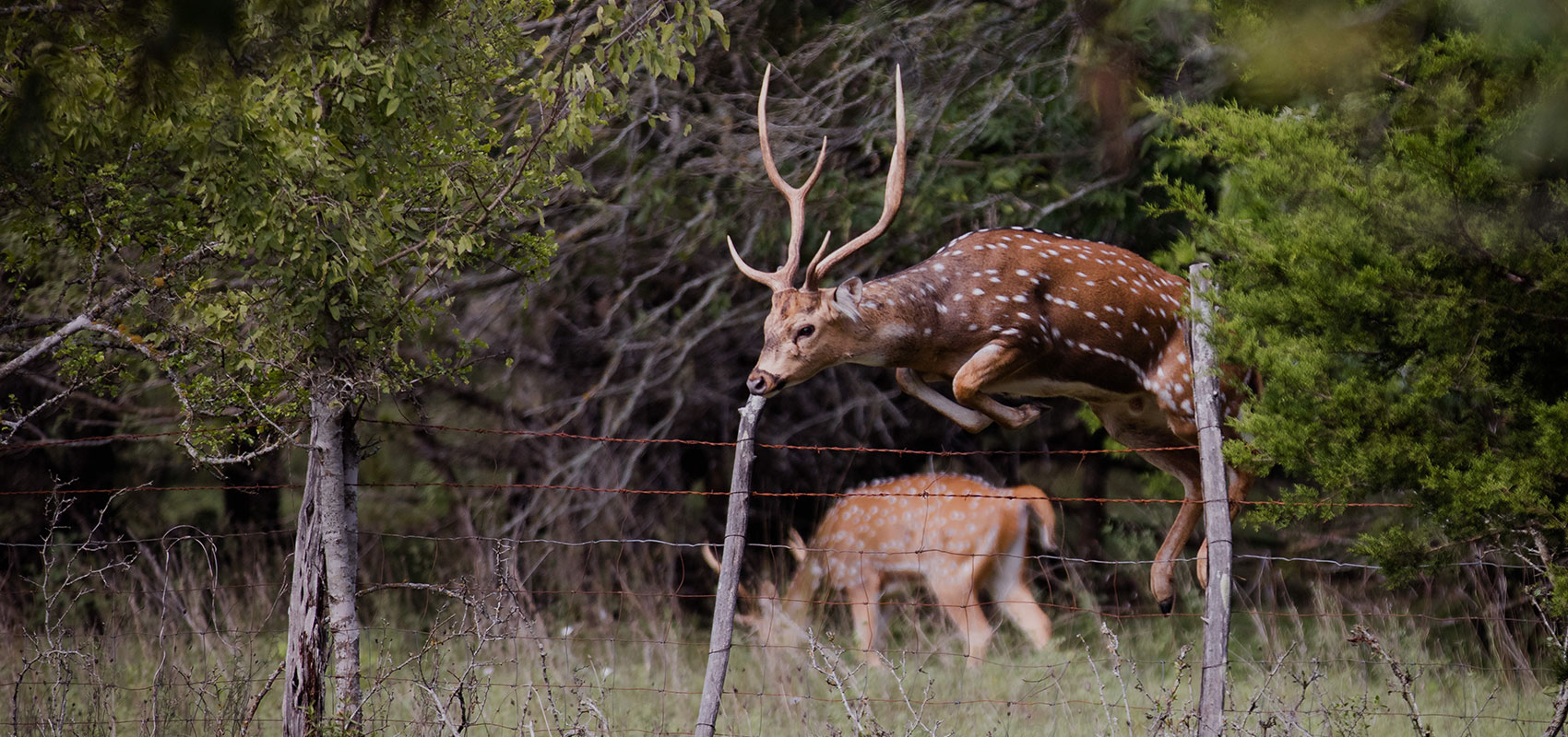 Texas Hill Country RV Park | Skyline Ranch RV Park and Cabins